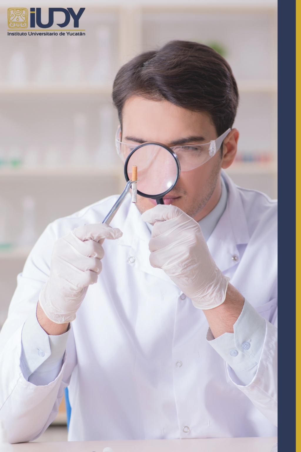 Licenciatura en Criminología, Criminalística e Investigación Criminal ...