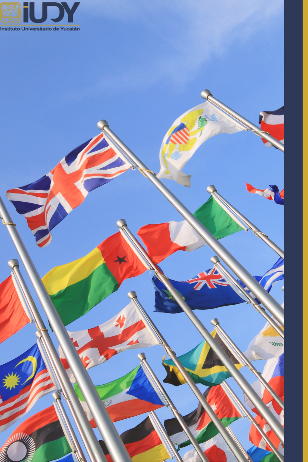 Oferta académica - IUDY