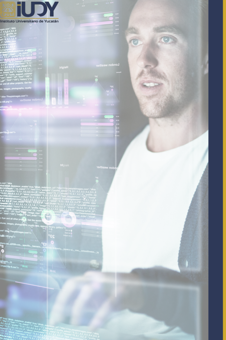 Oferta académica - IUDY